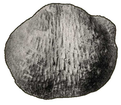 Геолошки Информациони Систем Србије