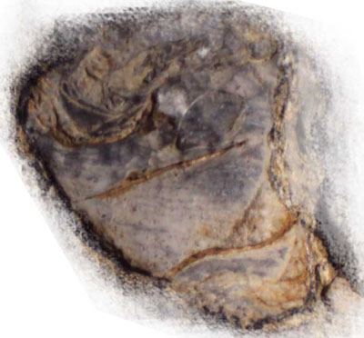 Геолошки Информациони Систем Србије